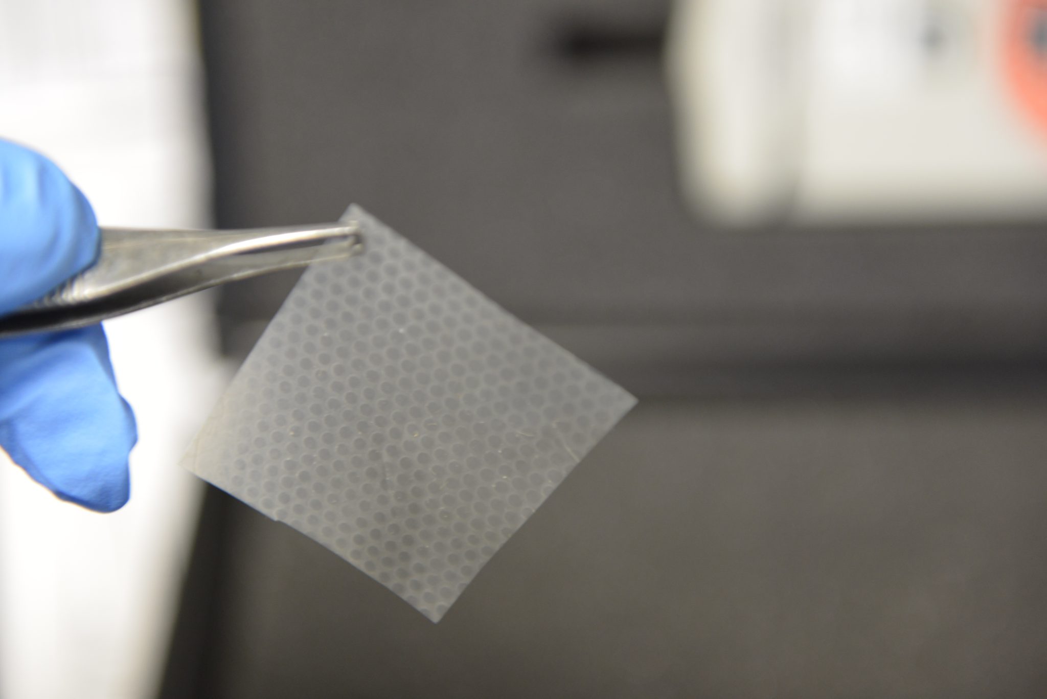 EvoPatch Amnion Patch - Evologics