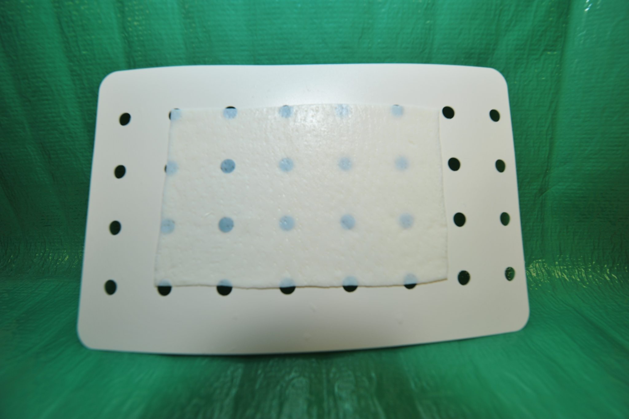 EvoDerm™ ACELLULAR DERMAL MATRIX - Evologics