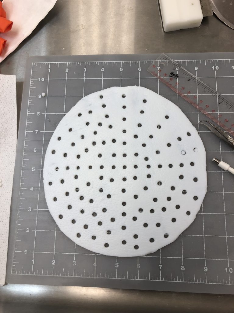 EvoDerm™ ACELLULAR DERMAL MATRIX - Evologics