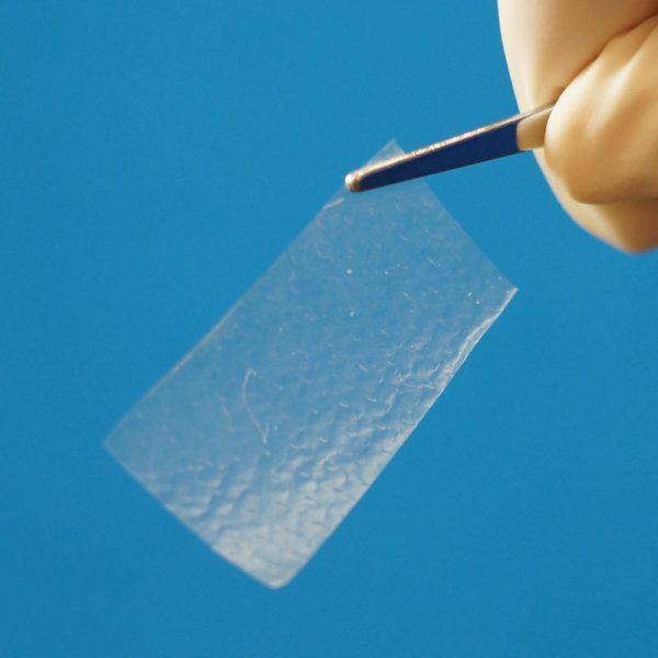 EvoPatch - Evologics